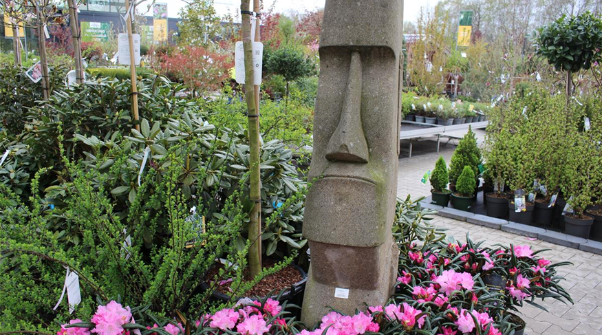 Willkommen in der Abteilung Baumschule